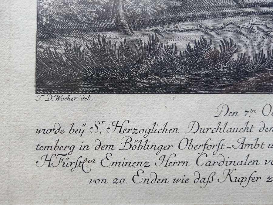 Jeleń szlachetny ⭐ miedzioryt J. Elias Ridinger - oryginał 1765 r - Top ...